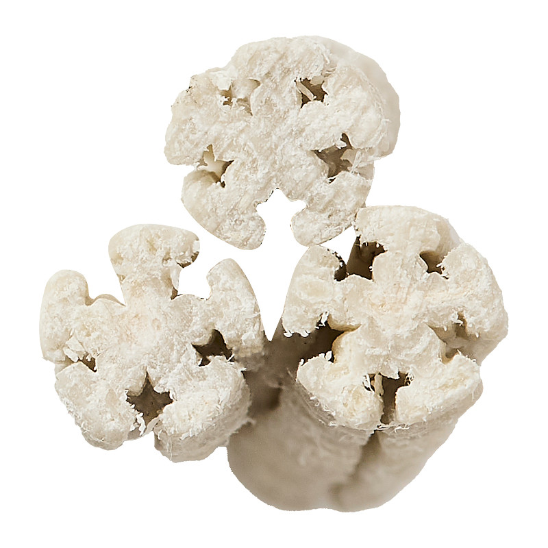 Lactic Acid Stick Chew – Astron Pet