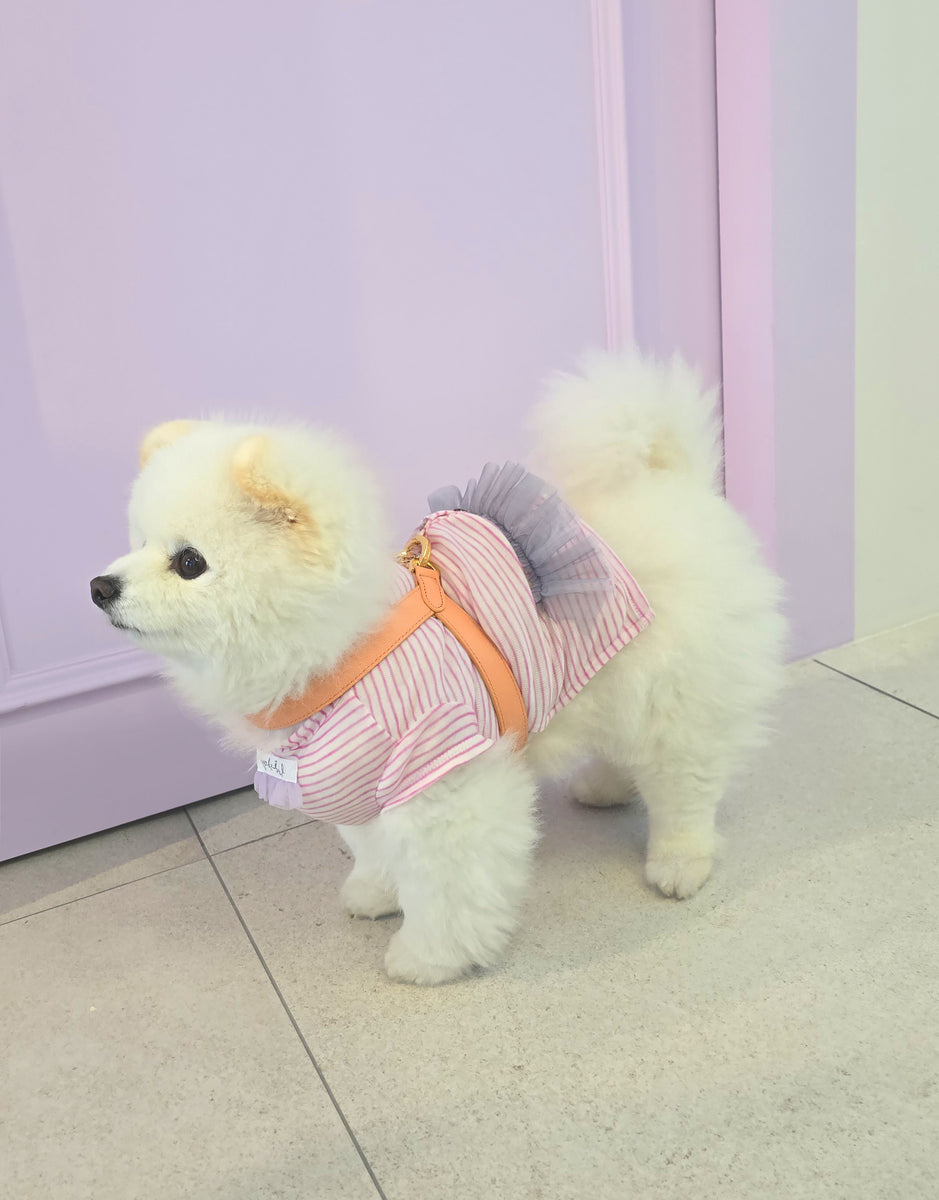 [PRE ORDER] Peach Fuzz Harness – Astron Pet