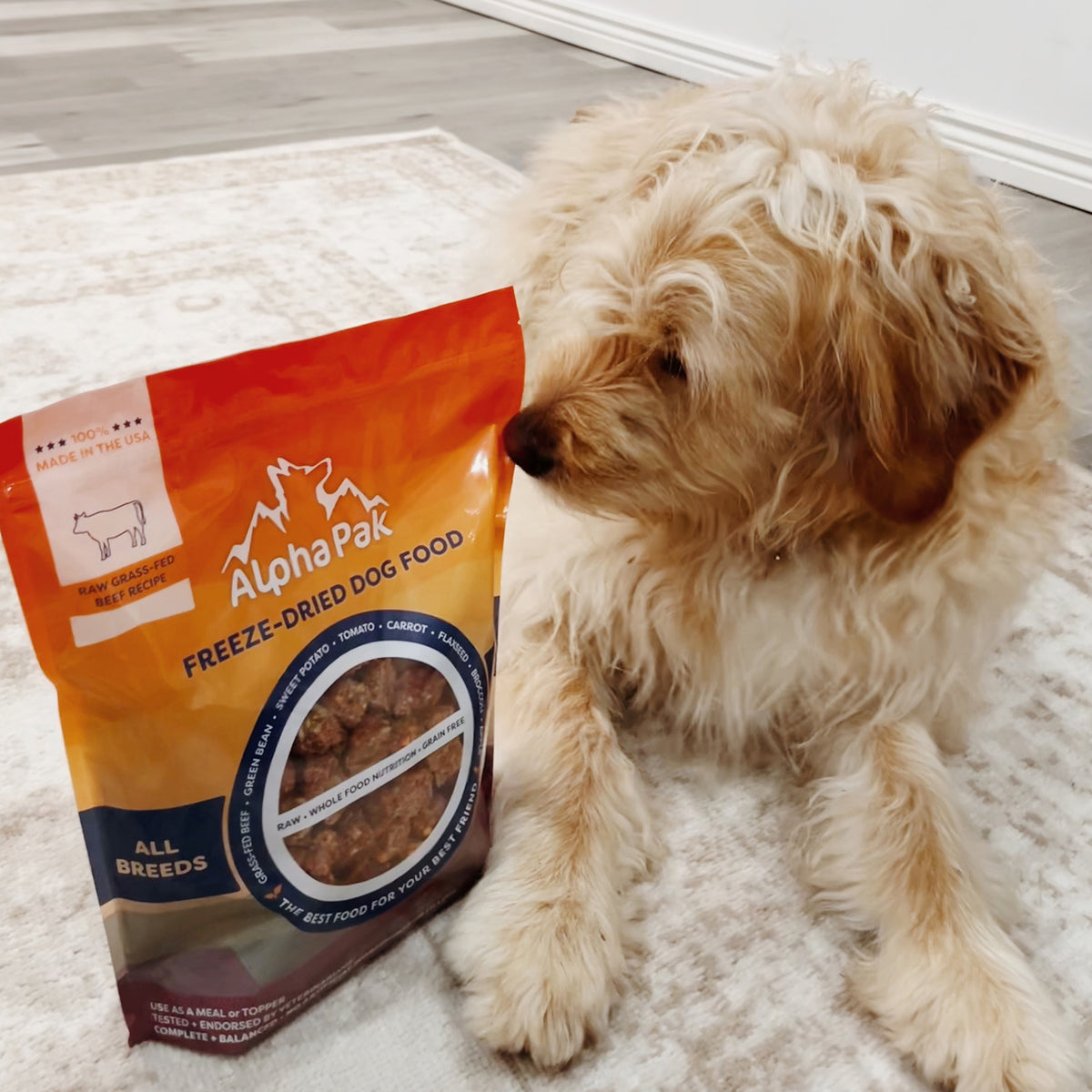 Freeze Dried Dog Food - Beef Recipe – Astron Pet